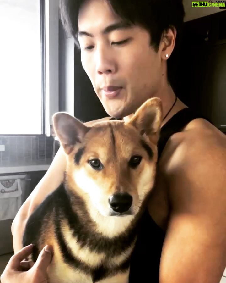 Ryan Higa Instagram – Just mildly annoying 😇 | Gethu Cinema