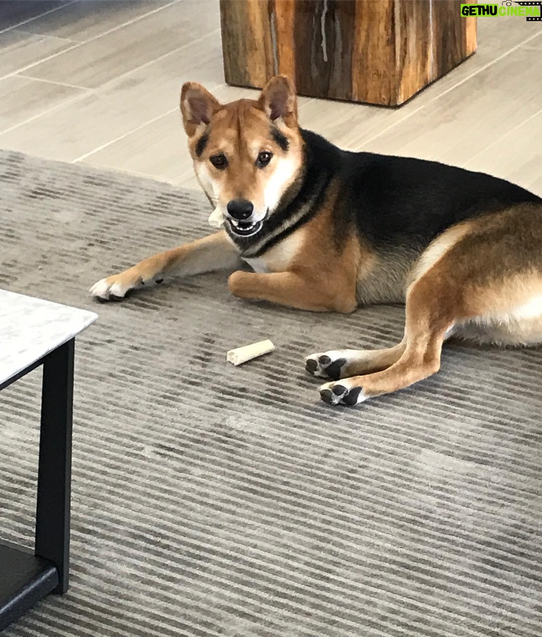 Ryan Higa Instagram – Bones, Rugs N Larceny… I didn’t give him two ...