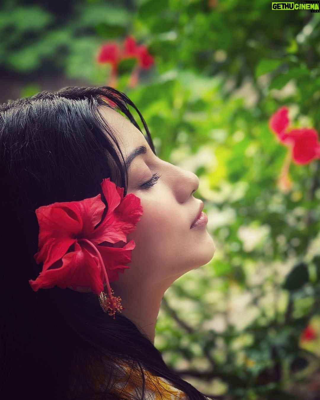 Actress Safa Kabir HD Instagram Photos and Wallpapers June 2023 | Gethu ...