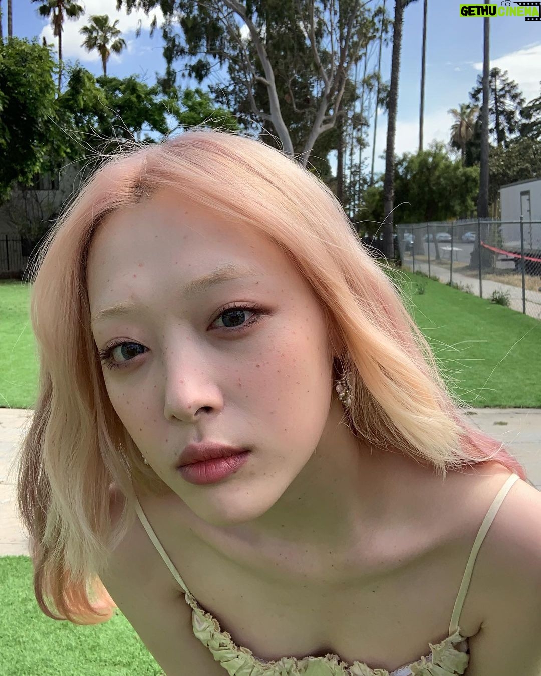 Sulli Instagram – | Gethu Cinema