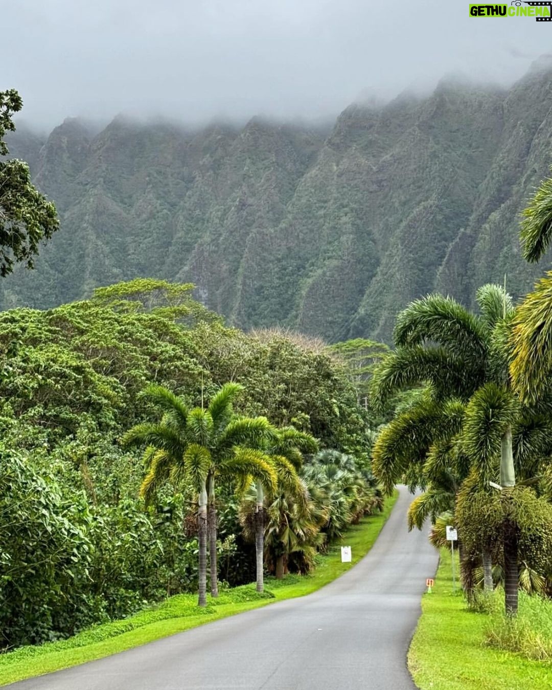 Summer Rae Instagram – Not all those who wander are lost 🫶🏼 Hoomaluhia ...