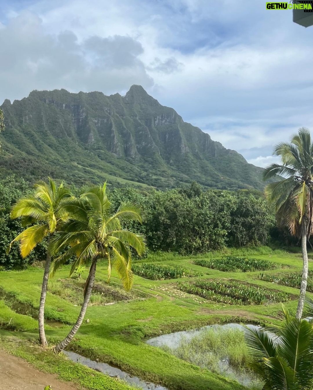 Summer Rae Instagram – Not all those who wander are lost 🫶🏼 Hoomaluhia ...