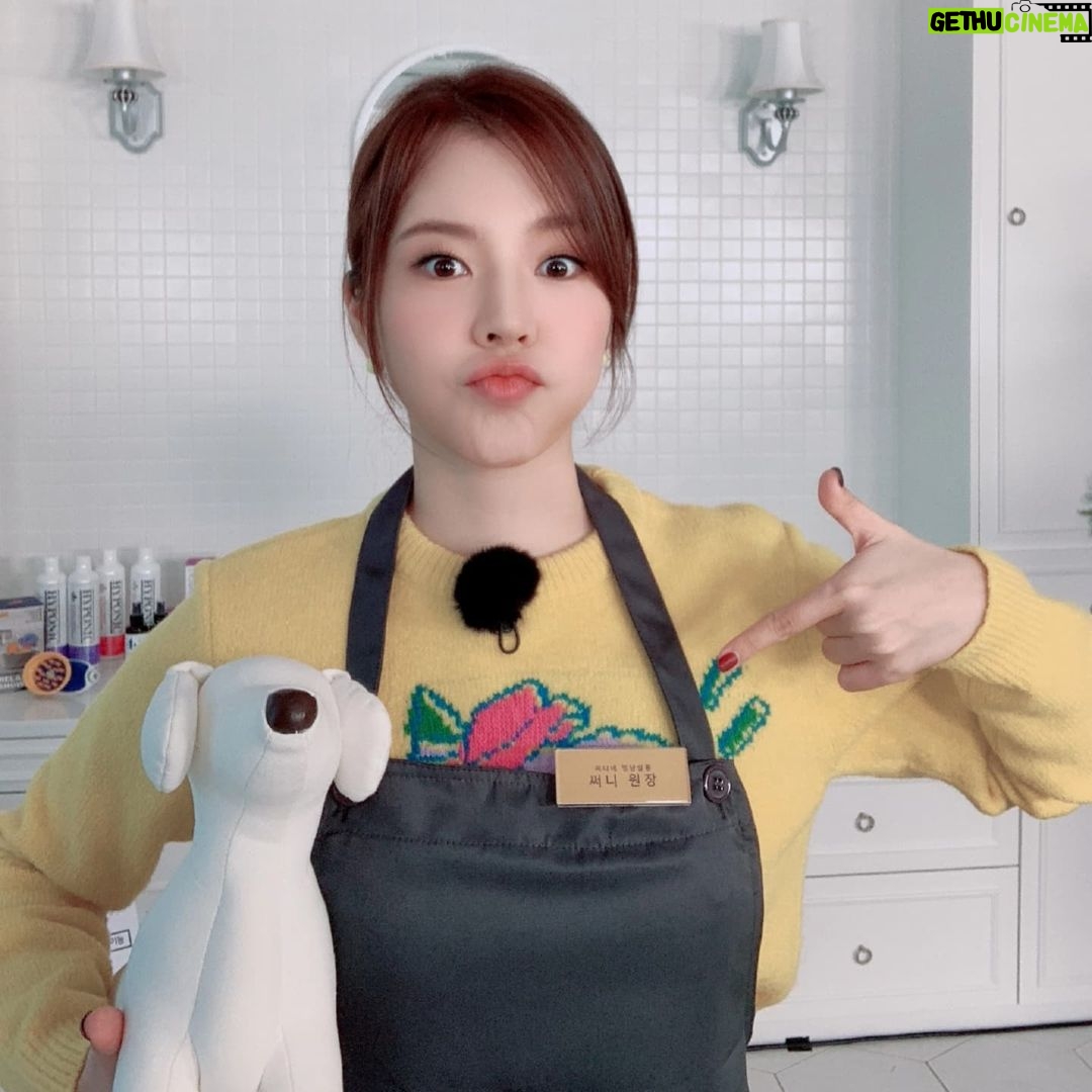 Sunny Instagram – #월간멍냥 잠시후!!!!!! 7시에 만나용~♡♡ | Gethu Cinema