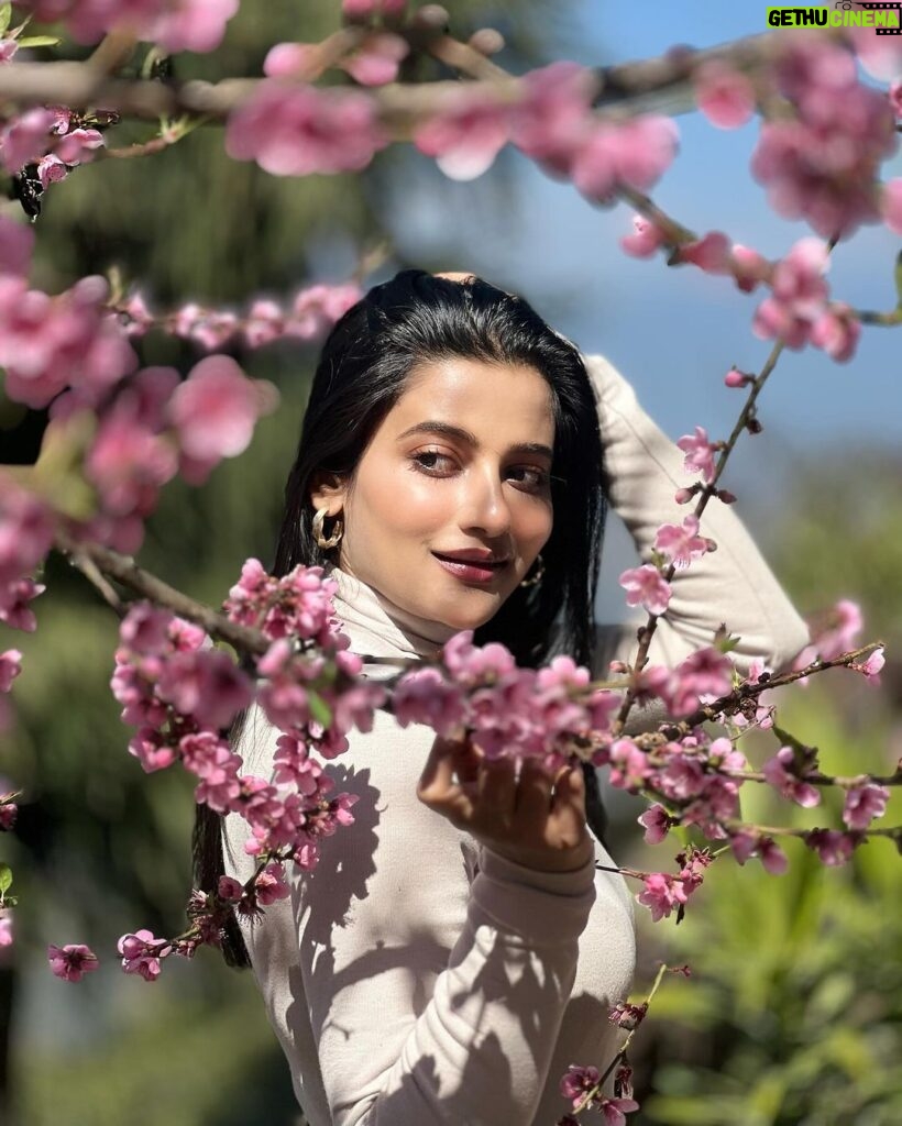 Actress Ushasi Ray HD Instagram Photos and Wallpapers February 2024 | Gethu Cinema