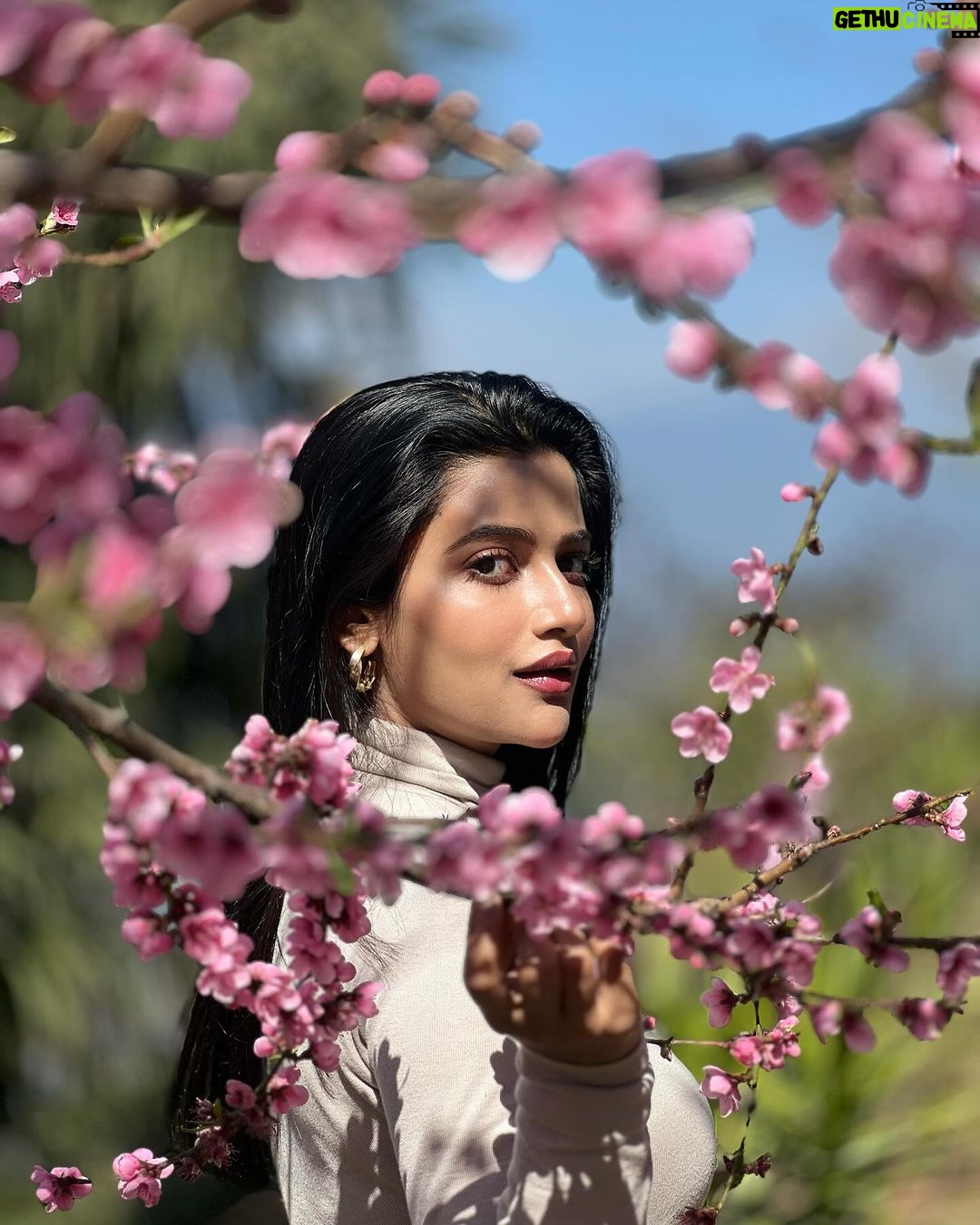 Actress Ushasi Ray HD Instagram Photos and Wallpapers February 2024 | Gethu Cinema