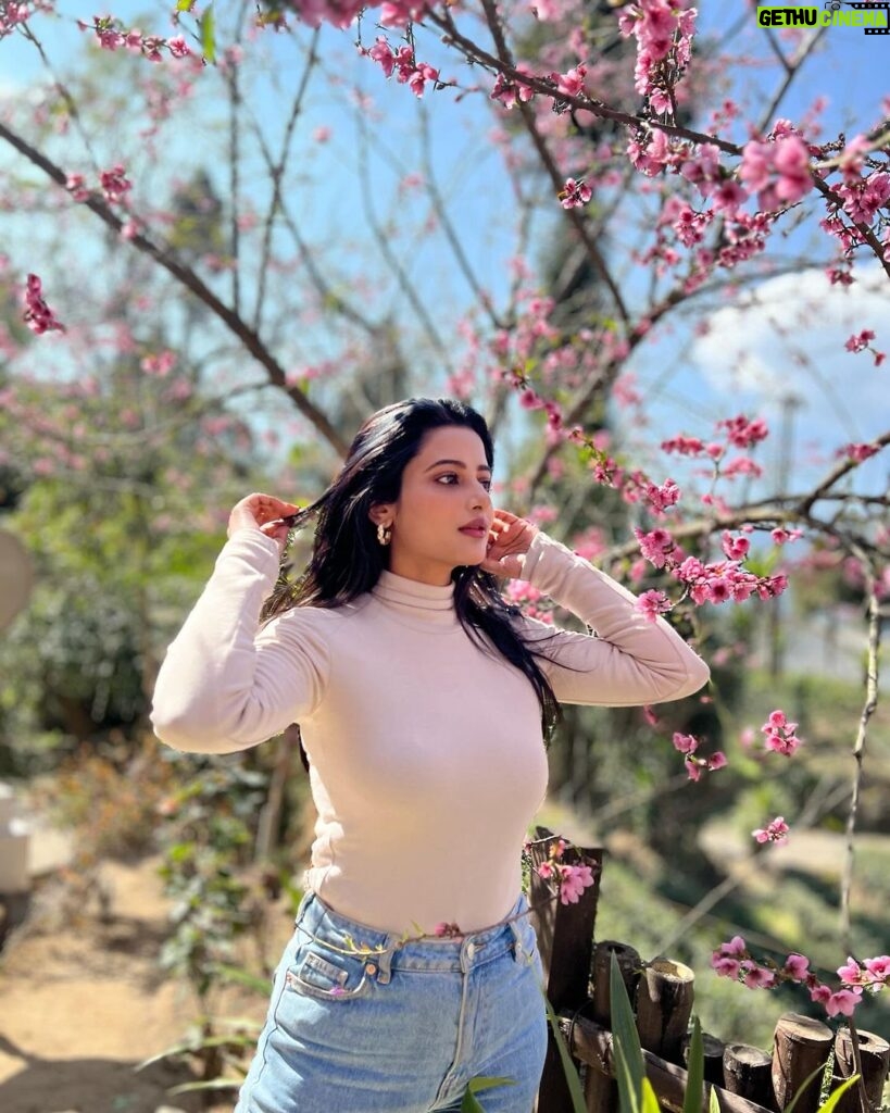 Actress Ushasi Ray HD Instagram Photos and Wallpapers February 2024 | Gethu Cinema