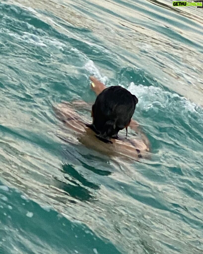 Actress Wafaa Amer HD Instagram Photos and Wallpapers October 2020 ...