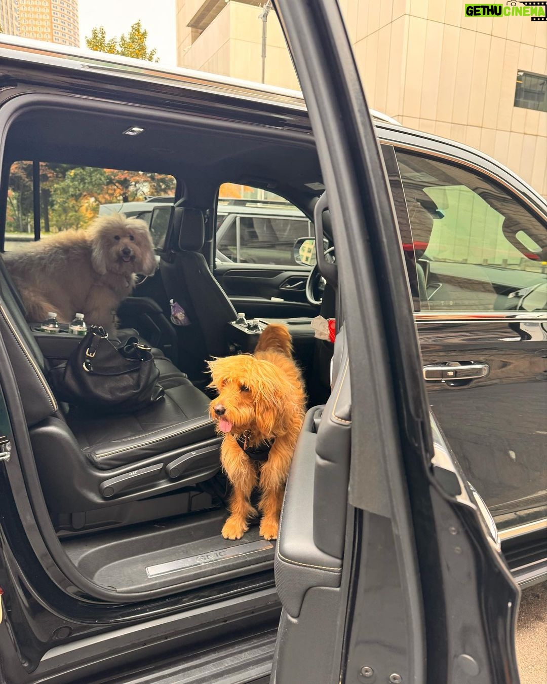 Actress Alexandra Cooper HD Instagram Photos and Wallpapers January ...