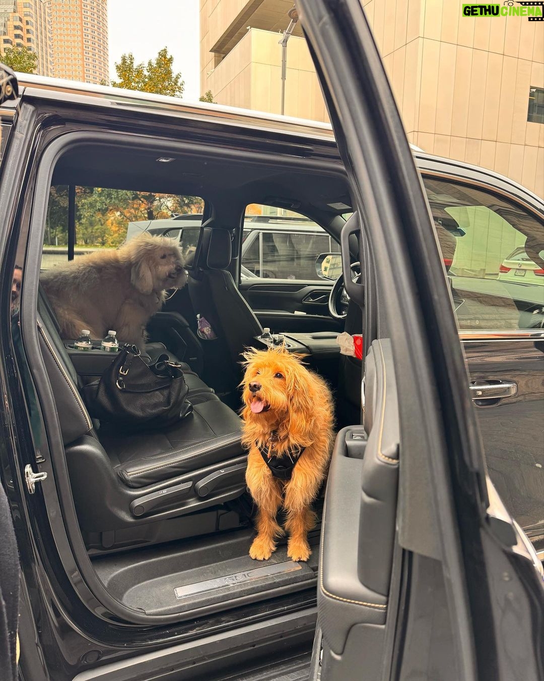 Alexandra Cooper Instagram – New year, same entourage 🐶😎 | Gethu Cinema