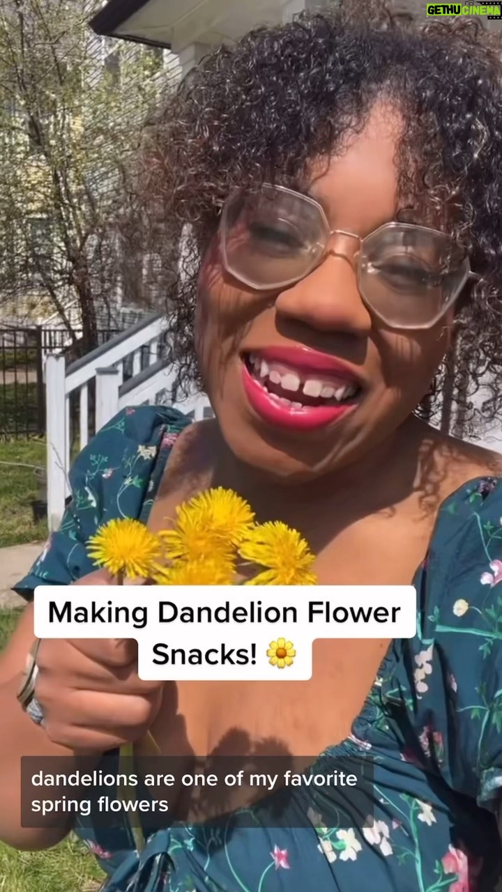 Alexis Nikole Nelson Instagram – DANDELION FRITTERS 🌼 and they’re ...