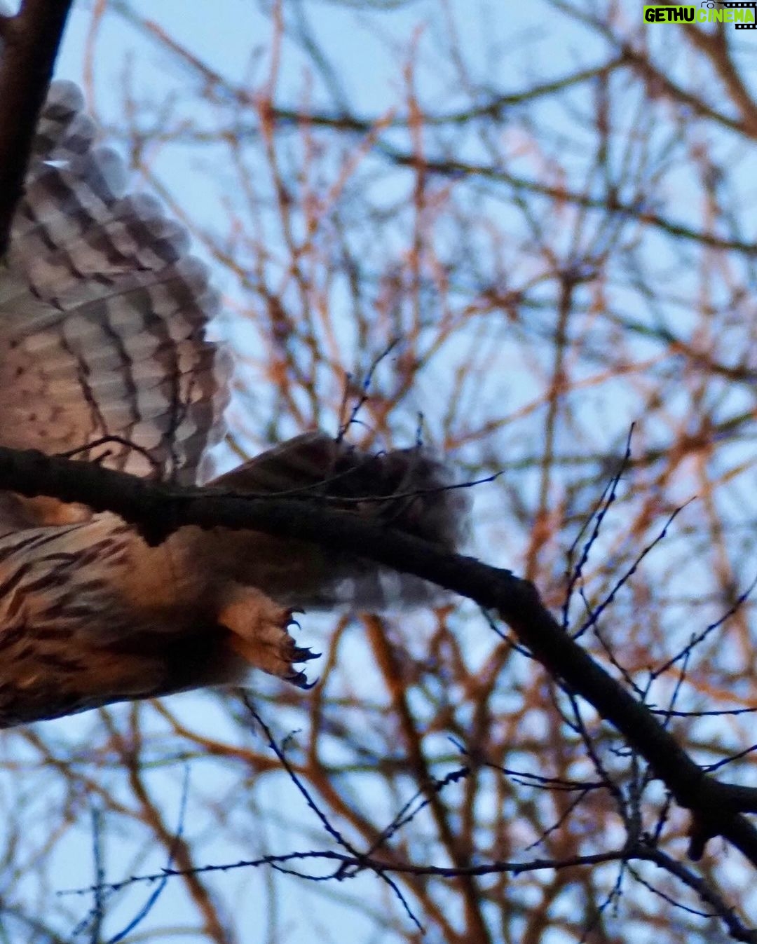 Actress Alexis Nikole Nelson HD Instagram Photos and Wallpapers March ...