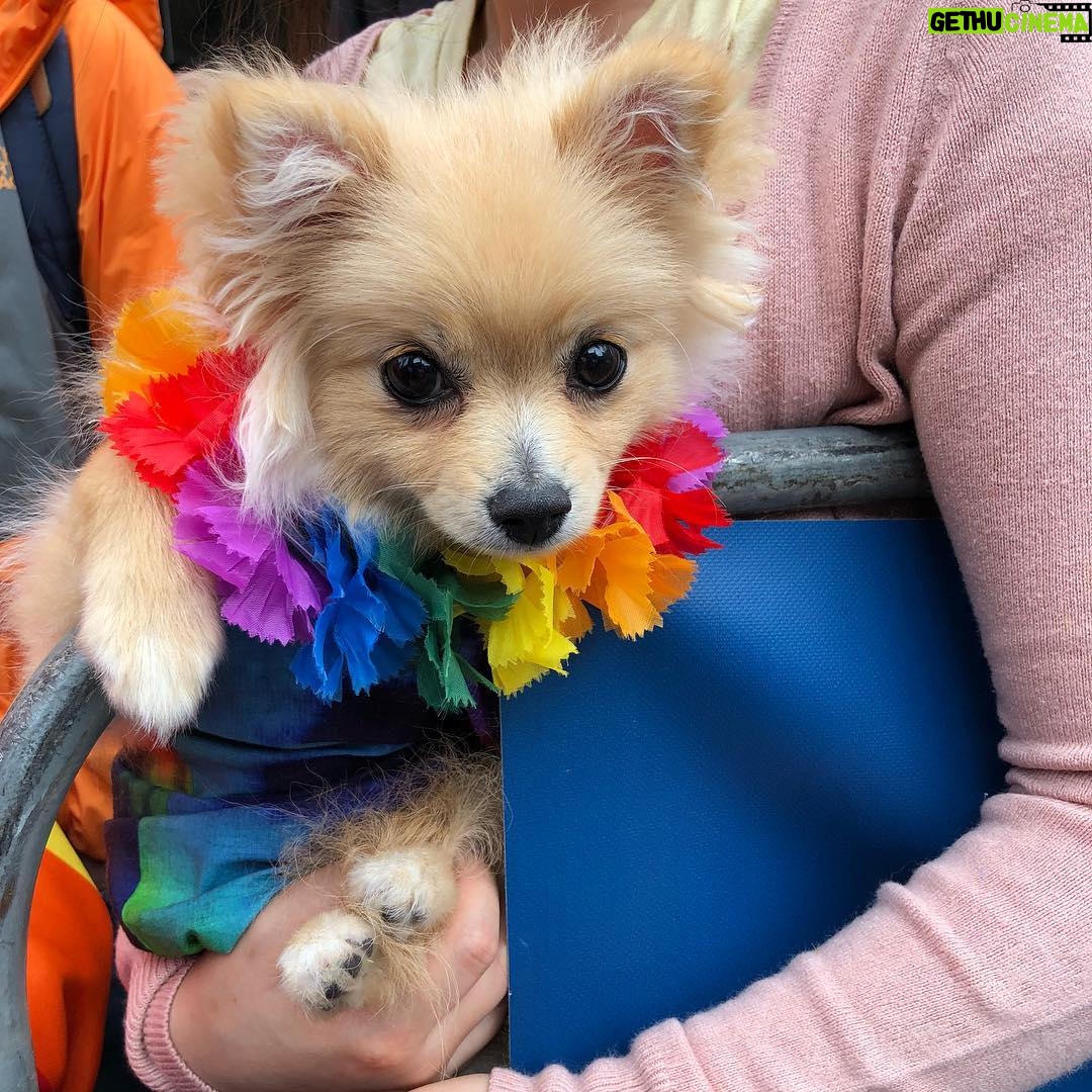 Annie Murphy Instagram – Yappy Pride, dawgs! #pride Toronto, Ontario | Gethu Cinema