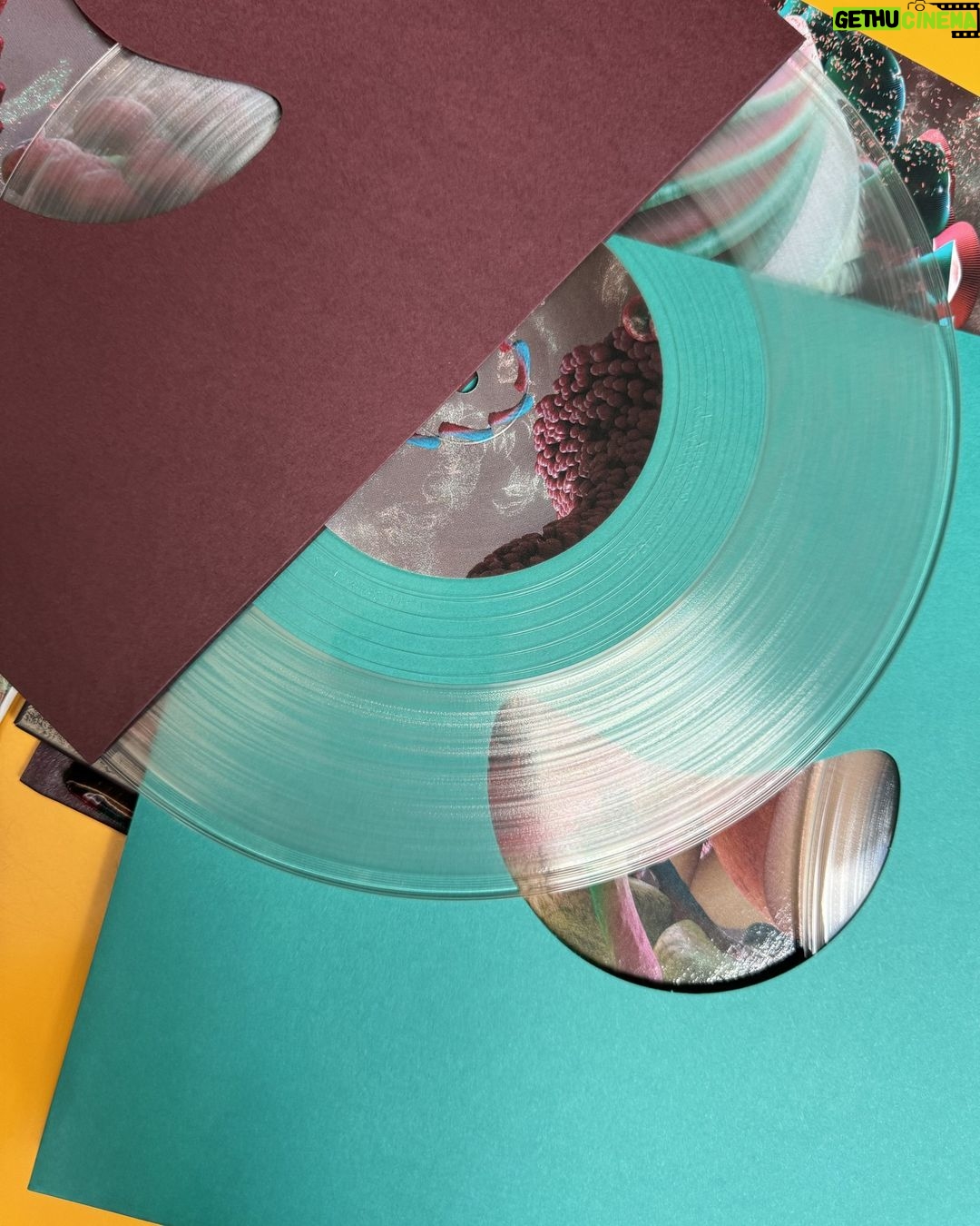 Björk Instagram – the fossora box set designed by @mmparisdotcom ...