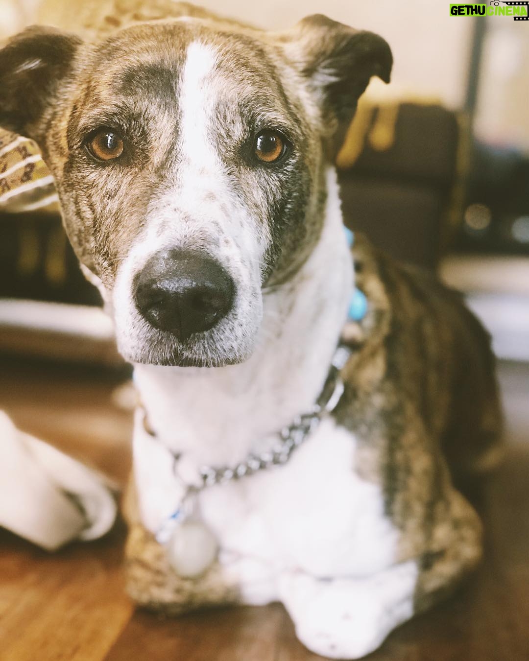 Emily Bett Rickards Instagram – Staaaap it. | Gethu Cinema