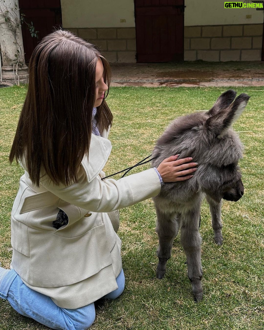 Actress Isabella Tena HD Instagram Photos and Wallpapers April 2024 ...