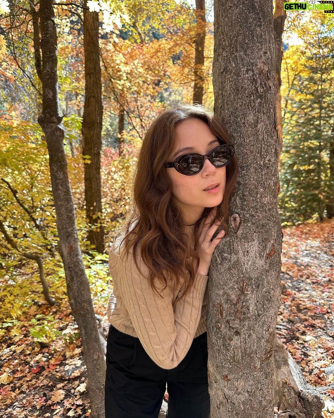 Laufey Instagram – connecting with nature on tour de bewitched ...