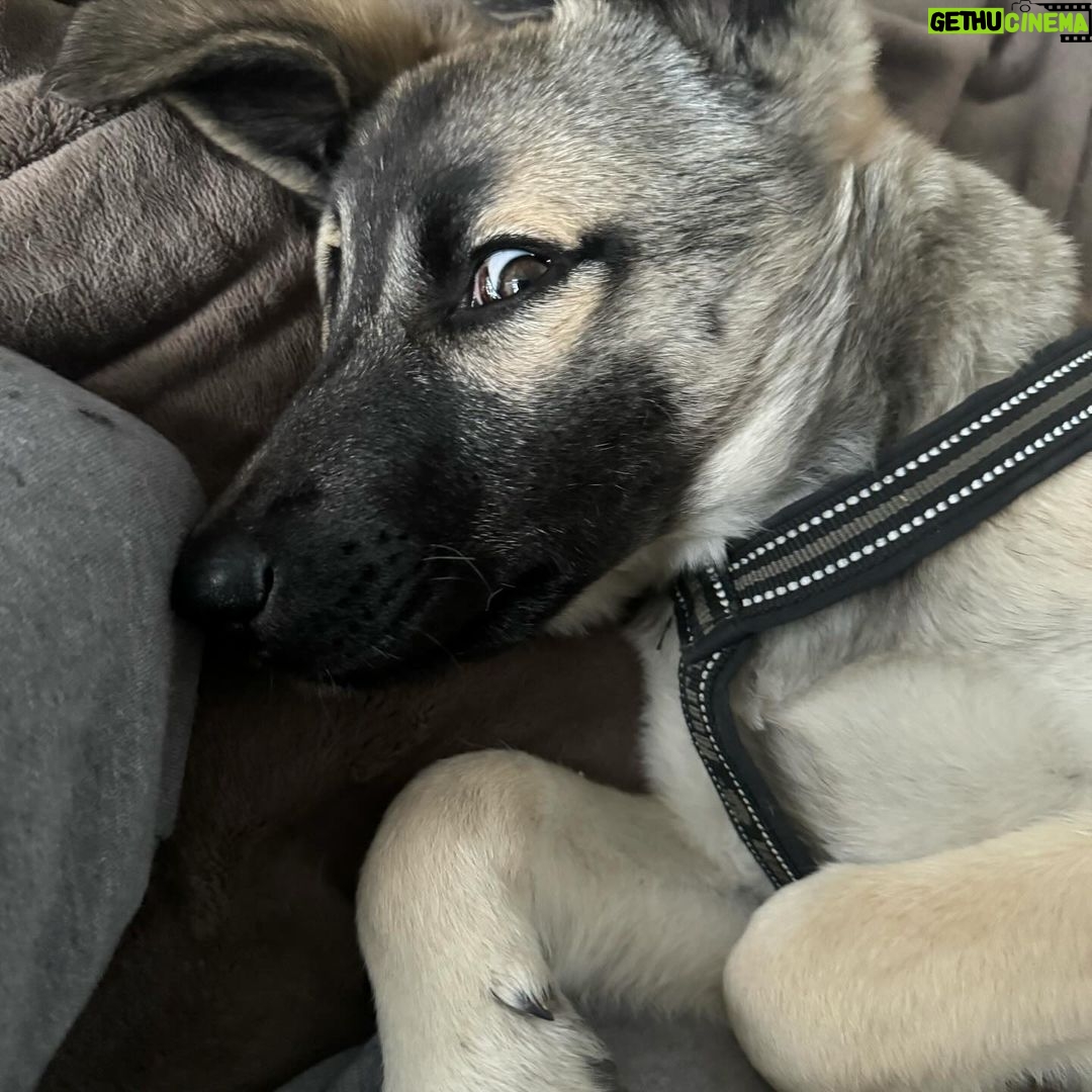 Maggie Civantos Instagram – Big Fish, Valentine & February 🤍 | Gethu Cinema