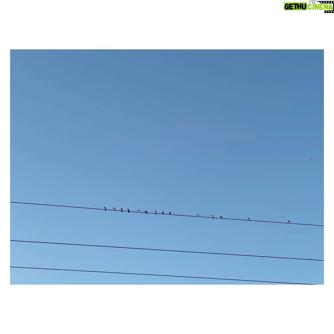 María Valverde Instagram – Pajarillos 💙 Little birds 💙 | Gethu Cinema