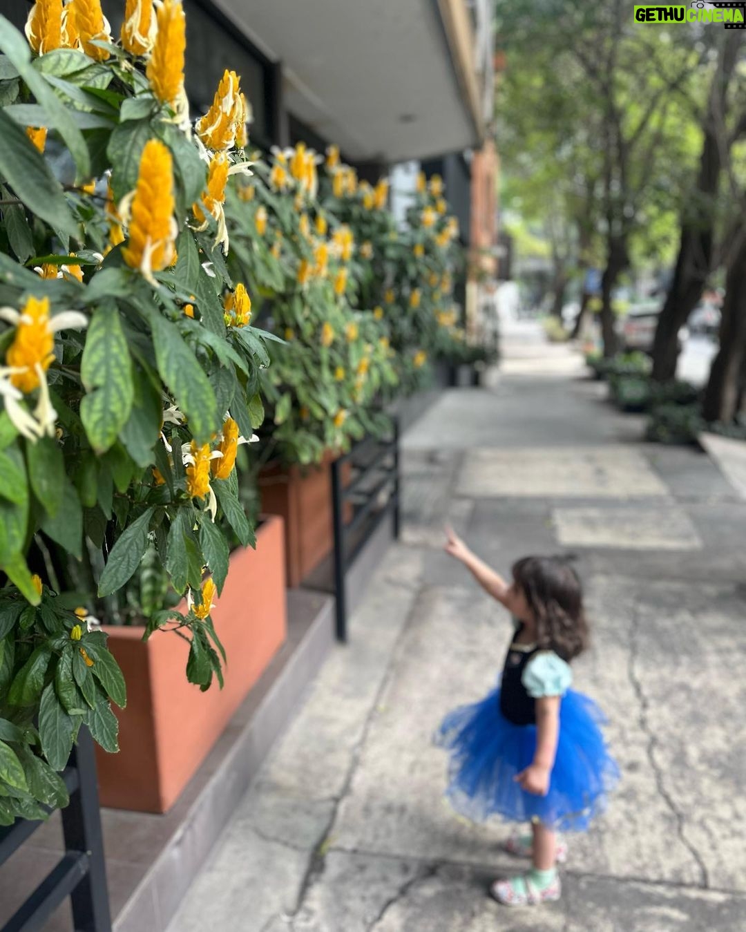 Natalia Téllez Instagram – No sabía que existen las brújulas para el ...