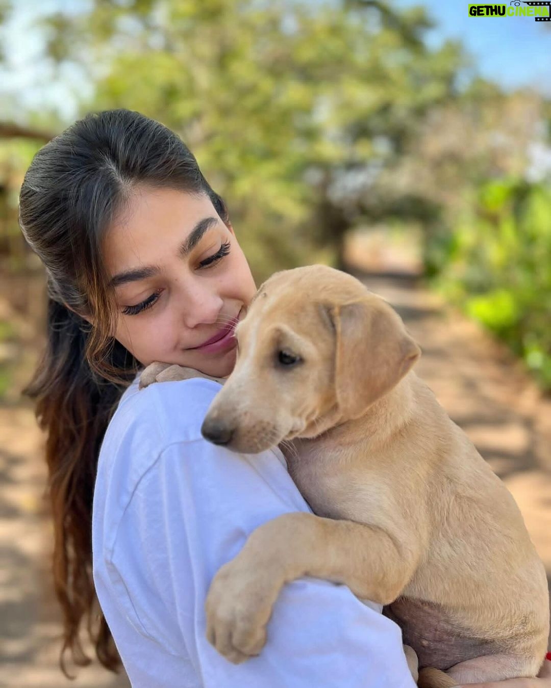 Puja Gupta Instagram – Oh it’s a season to be jolly 🪻 🎄👾 🐶 🐕 | Gethu Cinema