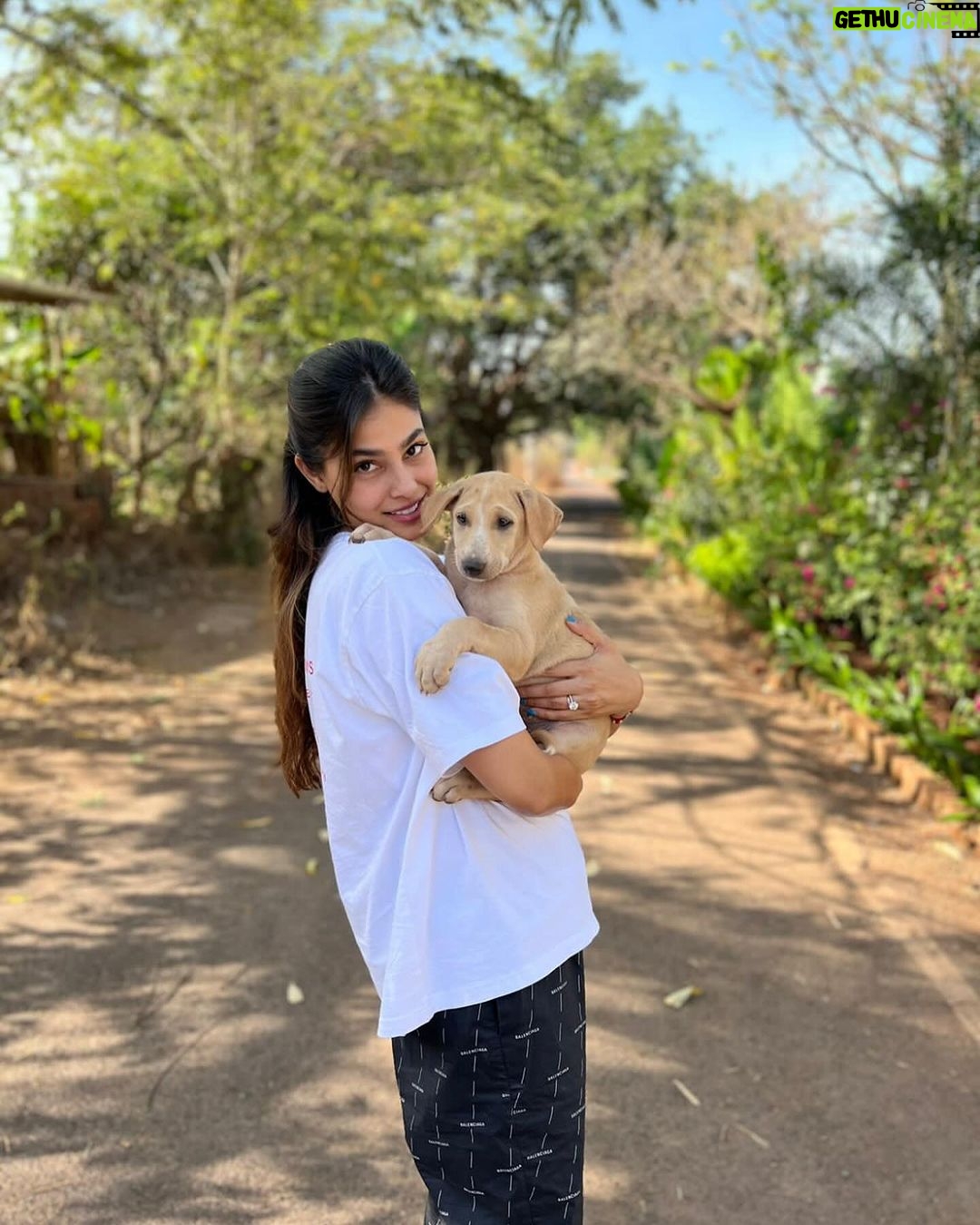 Puja Gupta Instagram – Oh it’s a season to be jolly 🪻 🎄👾 🐶 🐕 | Gethu Cinema