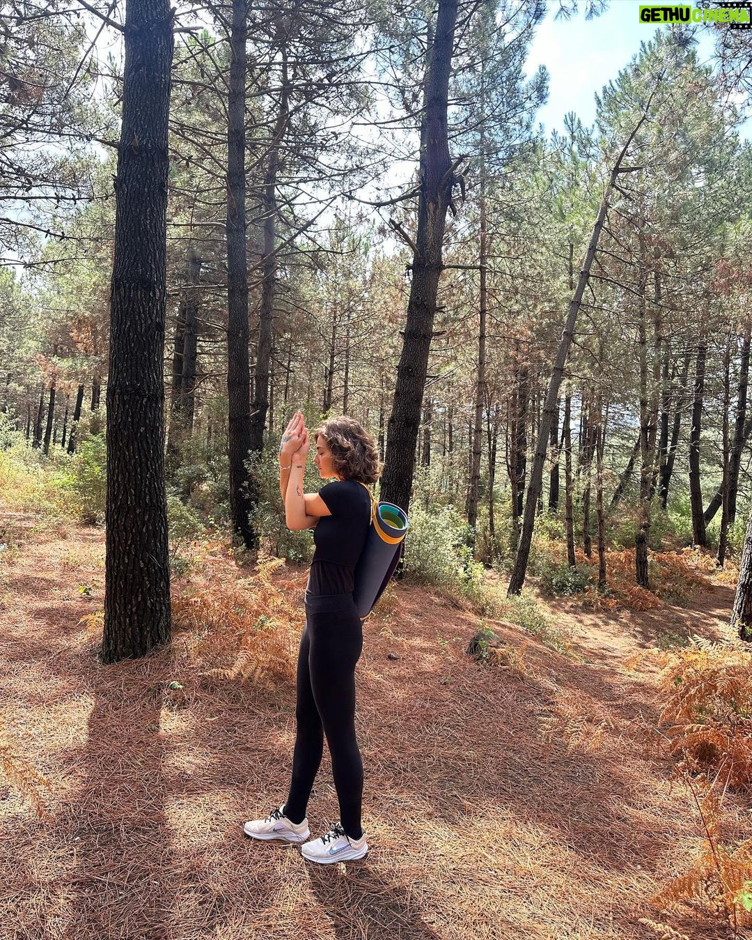 Actress Reyhaneh Parsa HD Instagram Photos and Wallpapers February 2024 ...