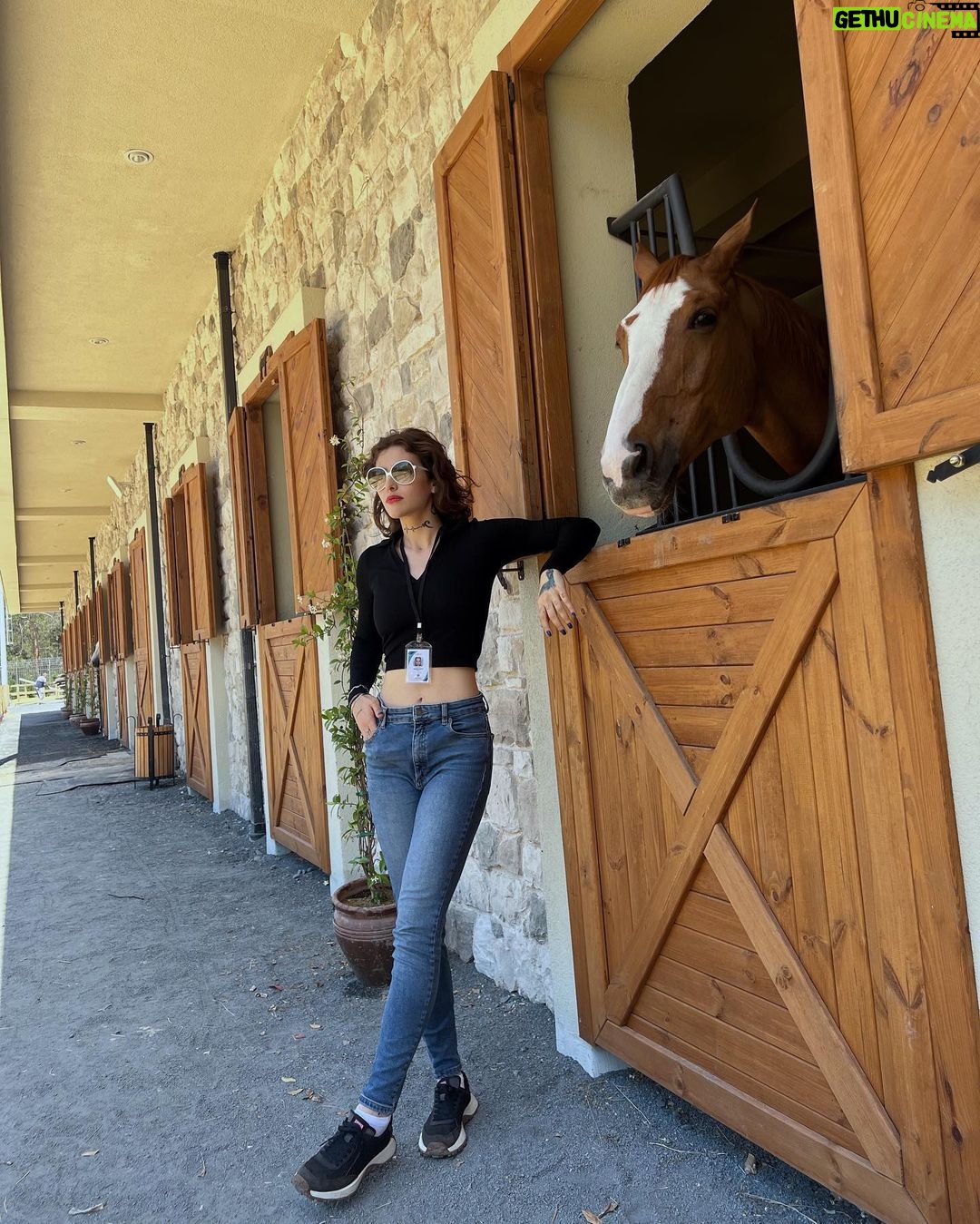 Reyhaneh Parsa Instagram – 🎠 | Gethu Cinema