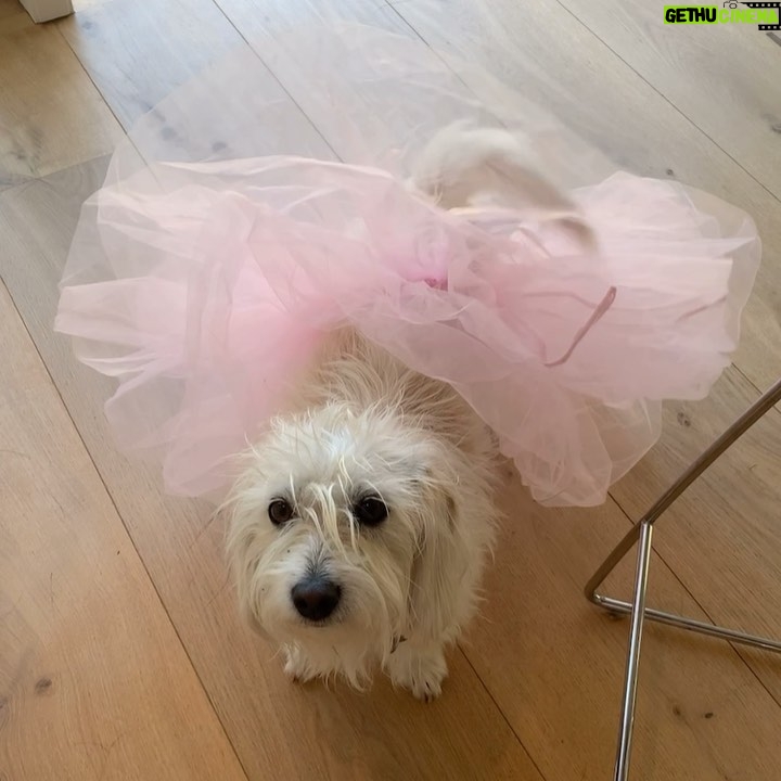 Sarah Rafferty Instagram – Happy Easter. May we all be renewed and ...