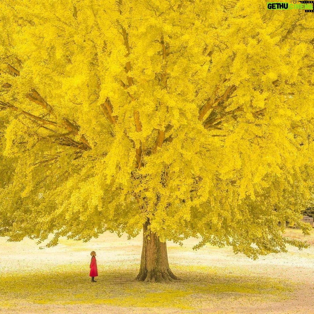 Sarah Rafferty Instagram – This photo (reposted from @ig_worldclub ...