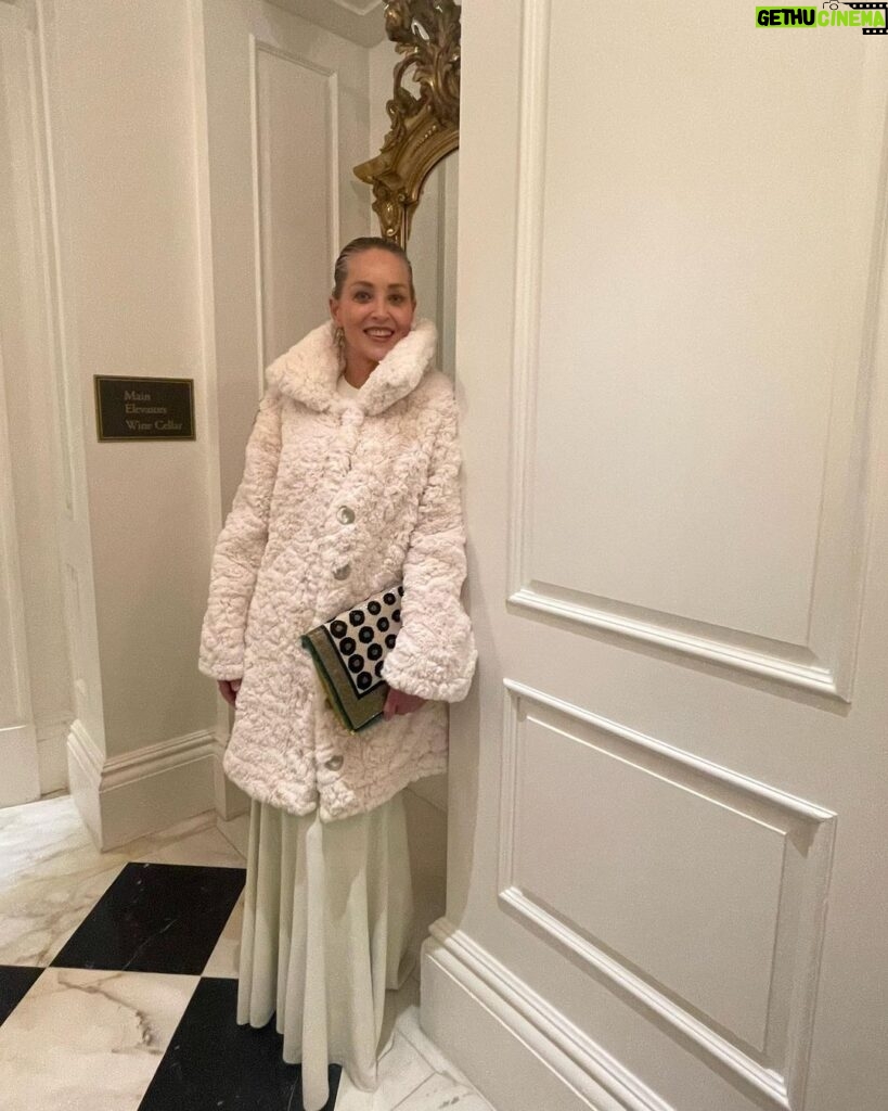 Actress Sharon Stone HD Instagram Photos and Wallpapers June 2024 ...