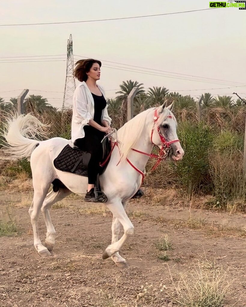 Actress Zahra Habib HD Instagram Photos and Wallpapers July 2023 ...