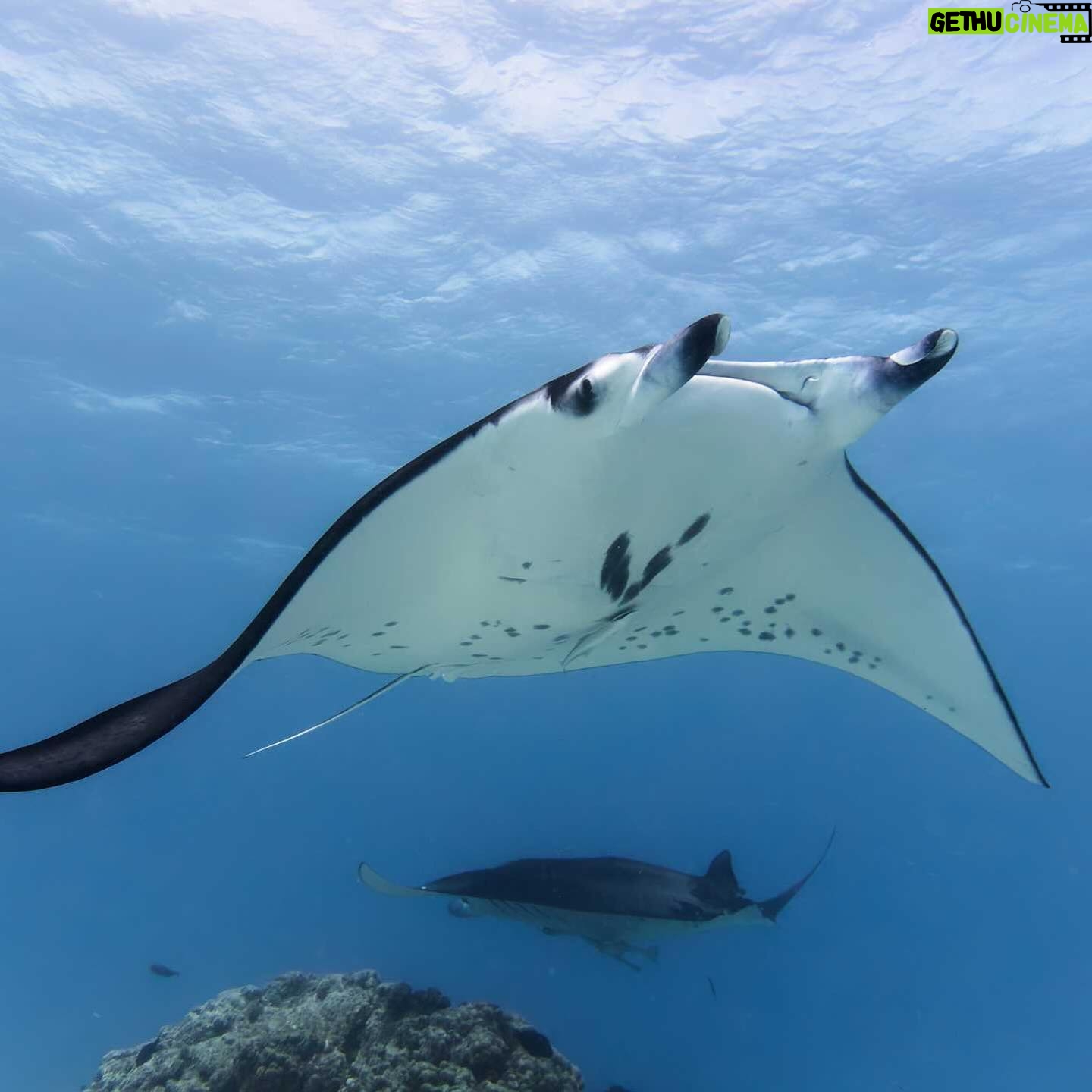 Kate Walsh Instagram – It was an incredible honor to be able to ...