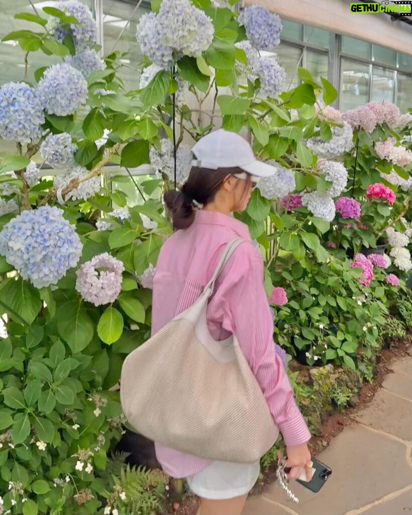 Actress Amanda Chou HD Instagram Photos and Wallpapers May 2024 | Gethu ...
