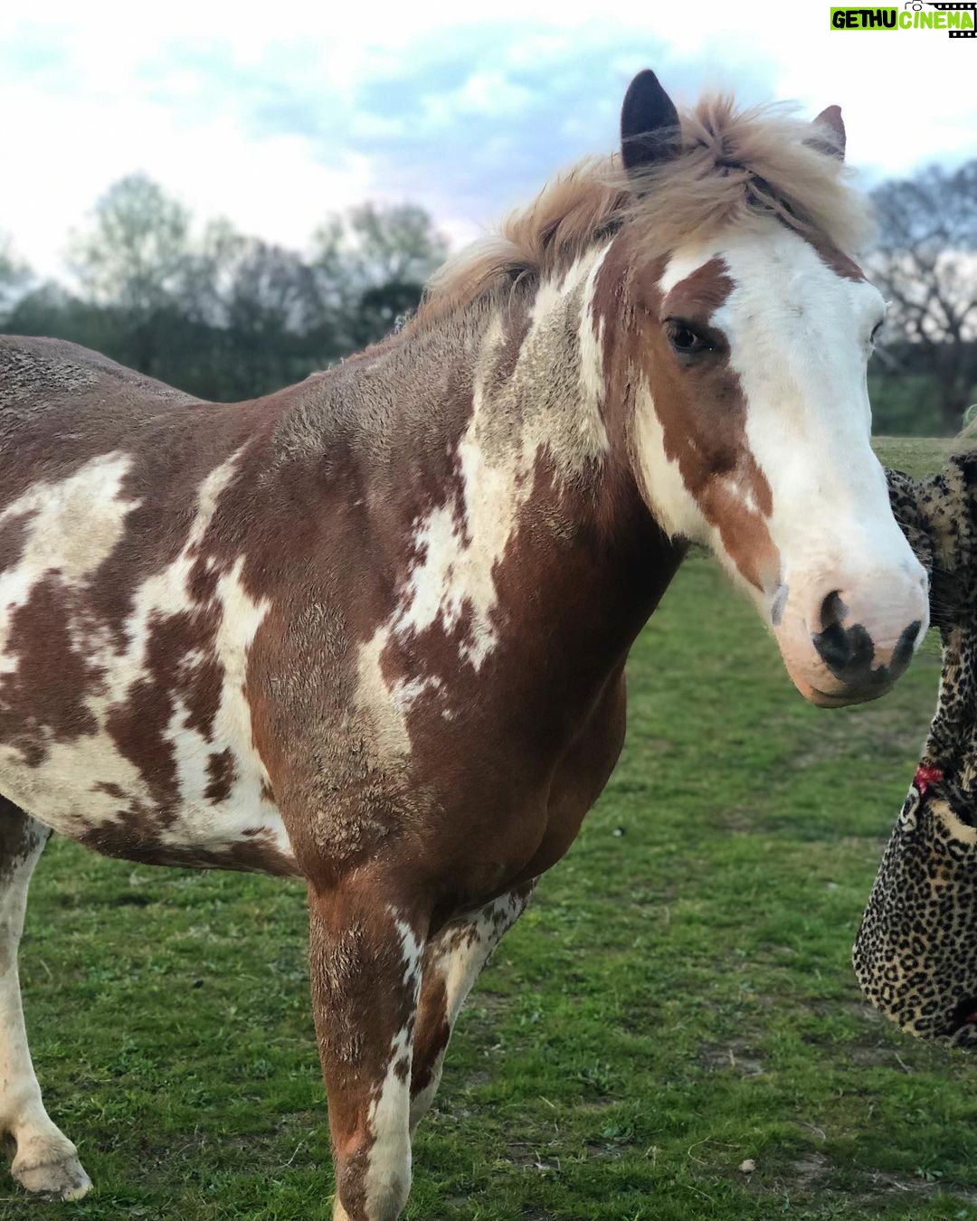 Annabelle Wallis Instagram – Heavenly creature | Gethu Cinema