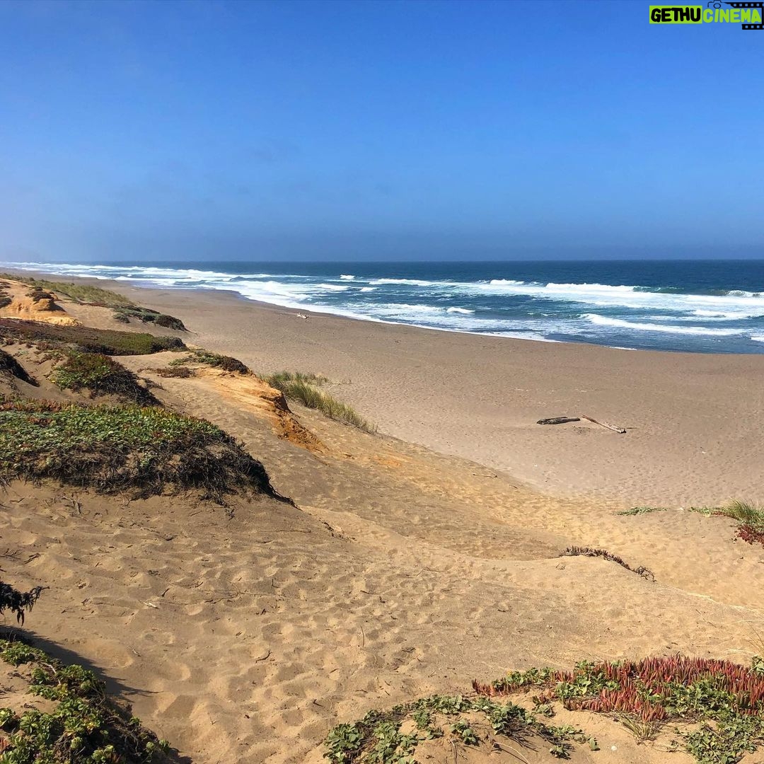 Annabelle Wallis Instagram – Road trip #California | Gethu Cinema