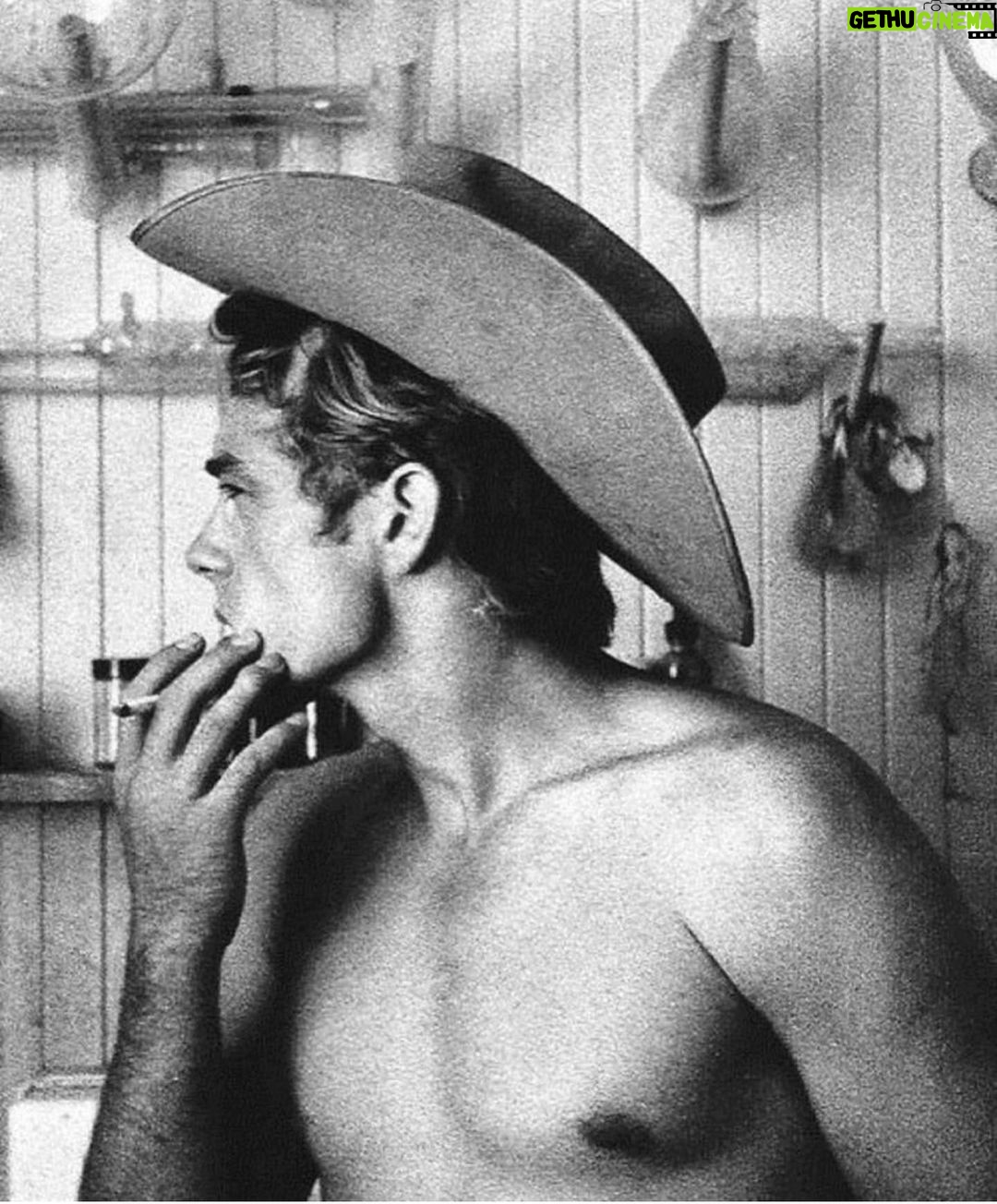 Annabelle Wallis Instagram – #JamesDean…dude | Gethu Cinema