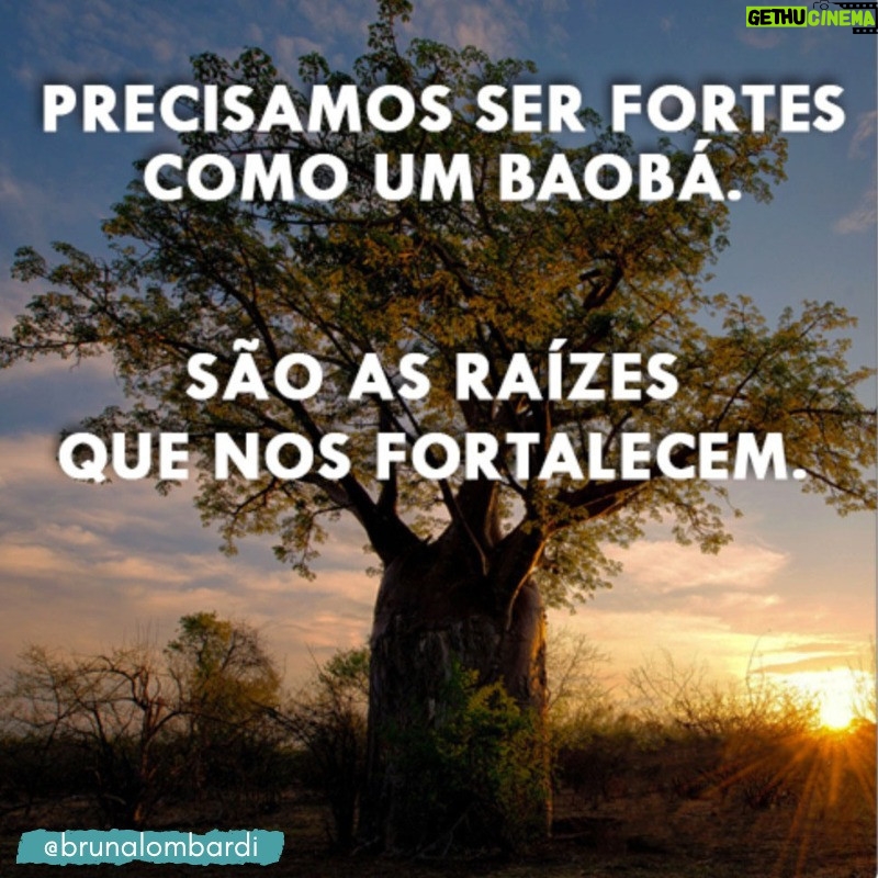 Bruna Lombardi Instagram – O Baobá é uma das maiores árvores e mais ...
