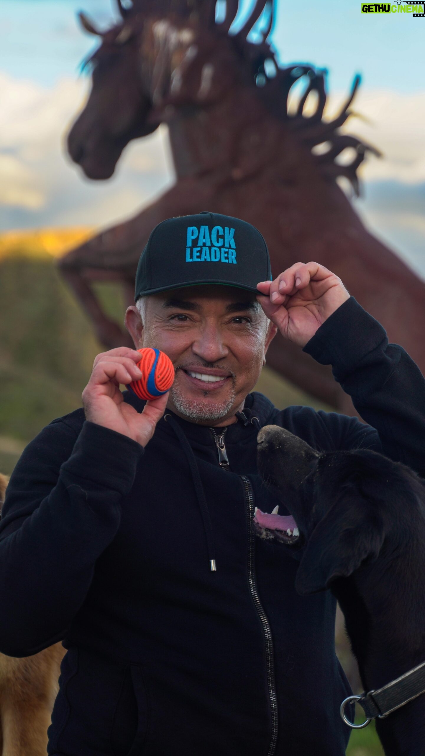 Cesar Millan Instagram – World! Becoming a pack leader has been my life ...