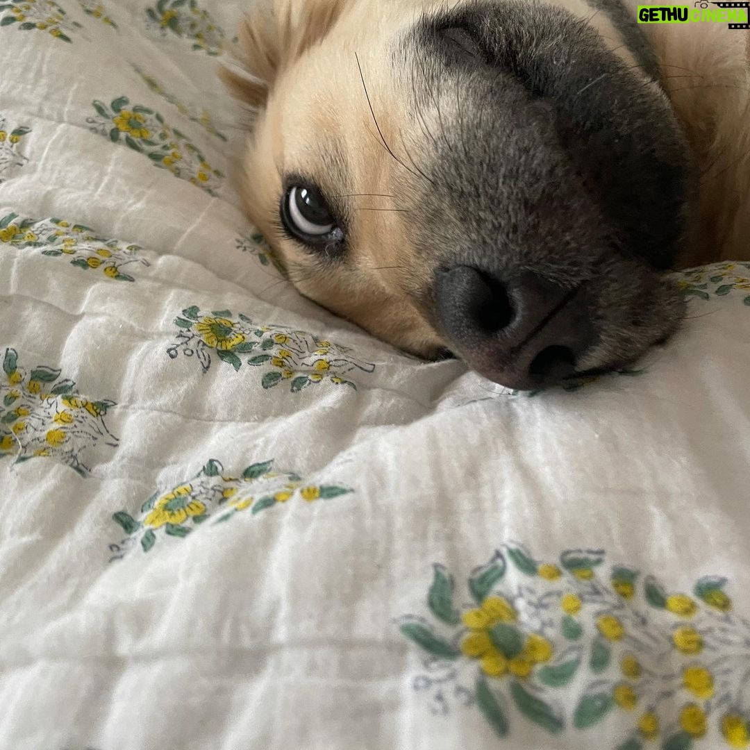 Clairo Instagram – happy three weeks of Sling 🎉 | Gethu Cinema