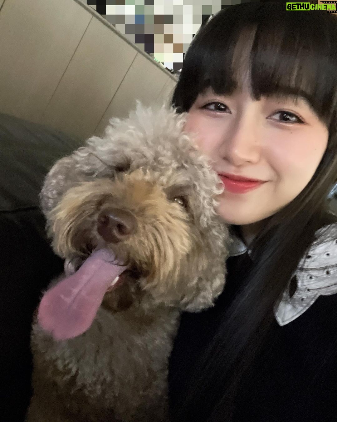 Actress Cocomi HD Instagram Photos and Wallpapers March 2024 | Gethu Cinema