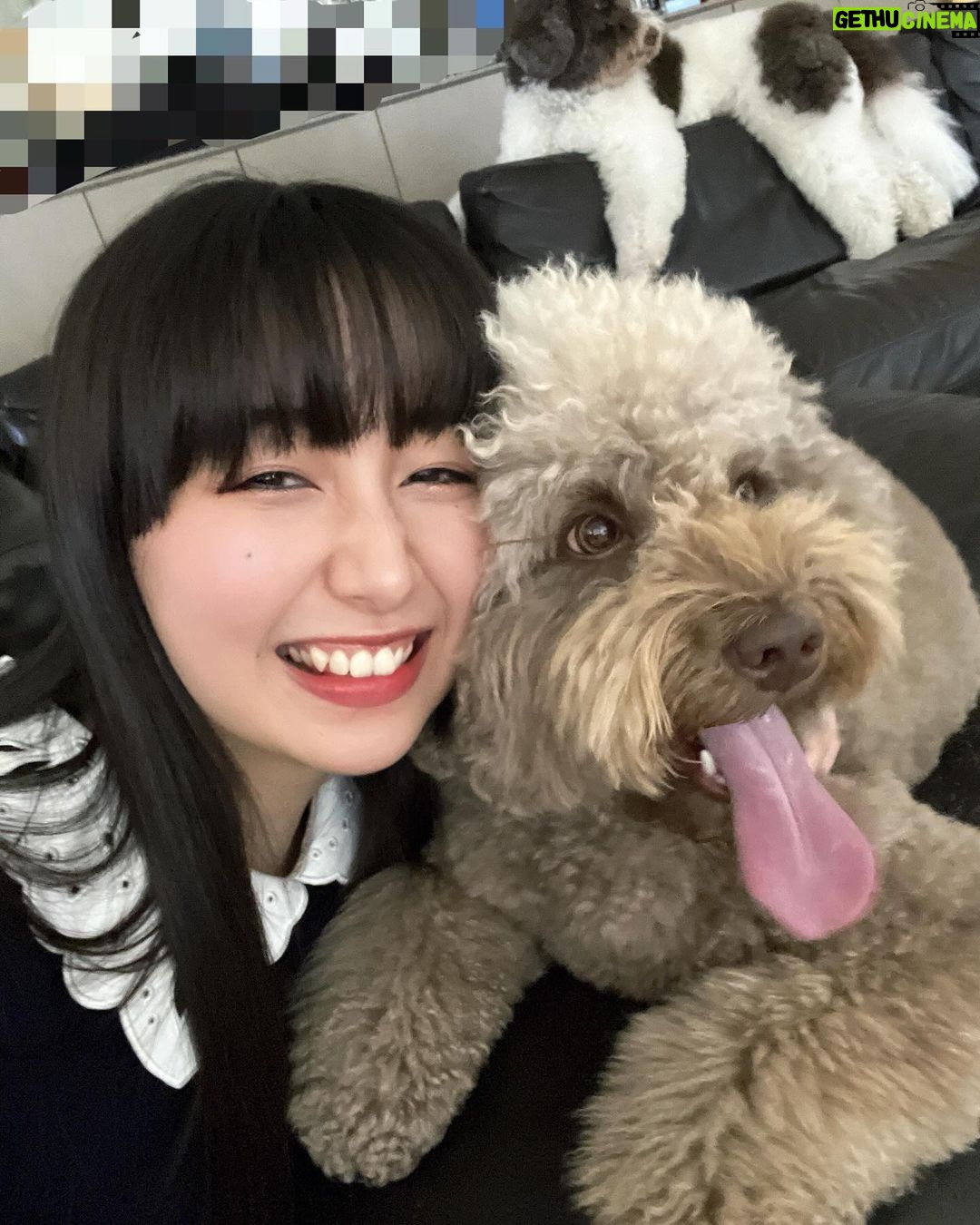 Actress Cocomi HD Instagram Photos and Wallpapers March 2024 | Gethu Cinema