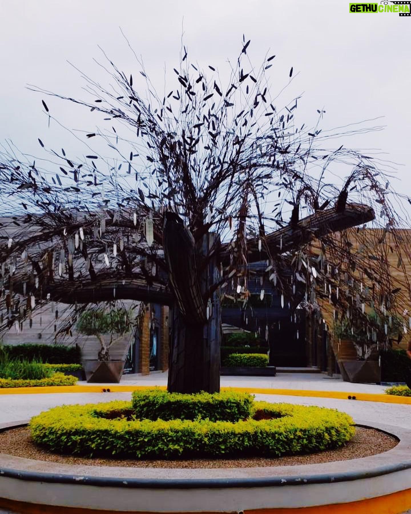 Ela Velden Instagram – Eres el primer rayito del sol que ilumina mi ...