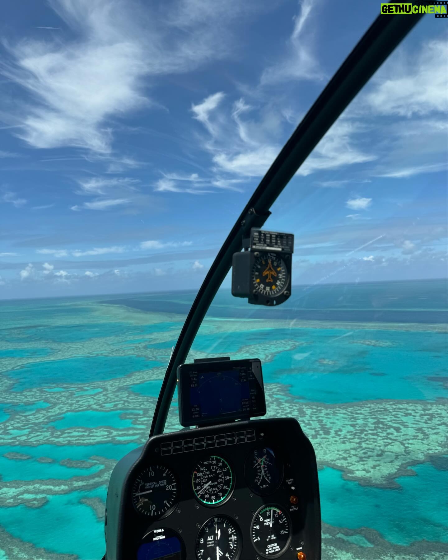 Francisca Cerqueira Gomes Instagram – 🪸 | Gethu Cinema