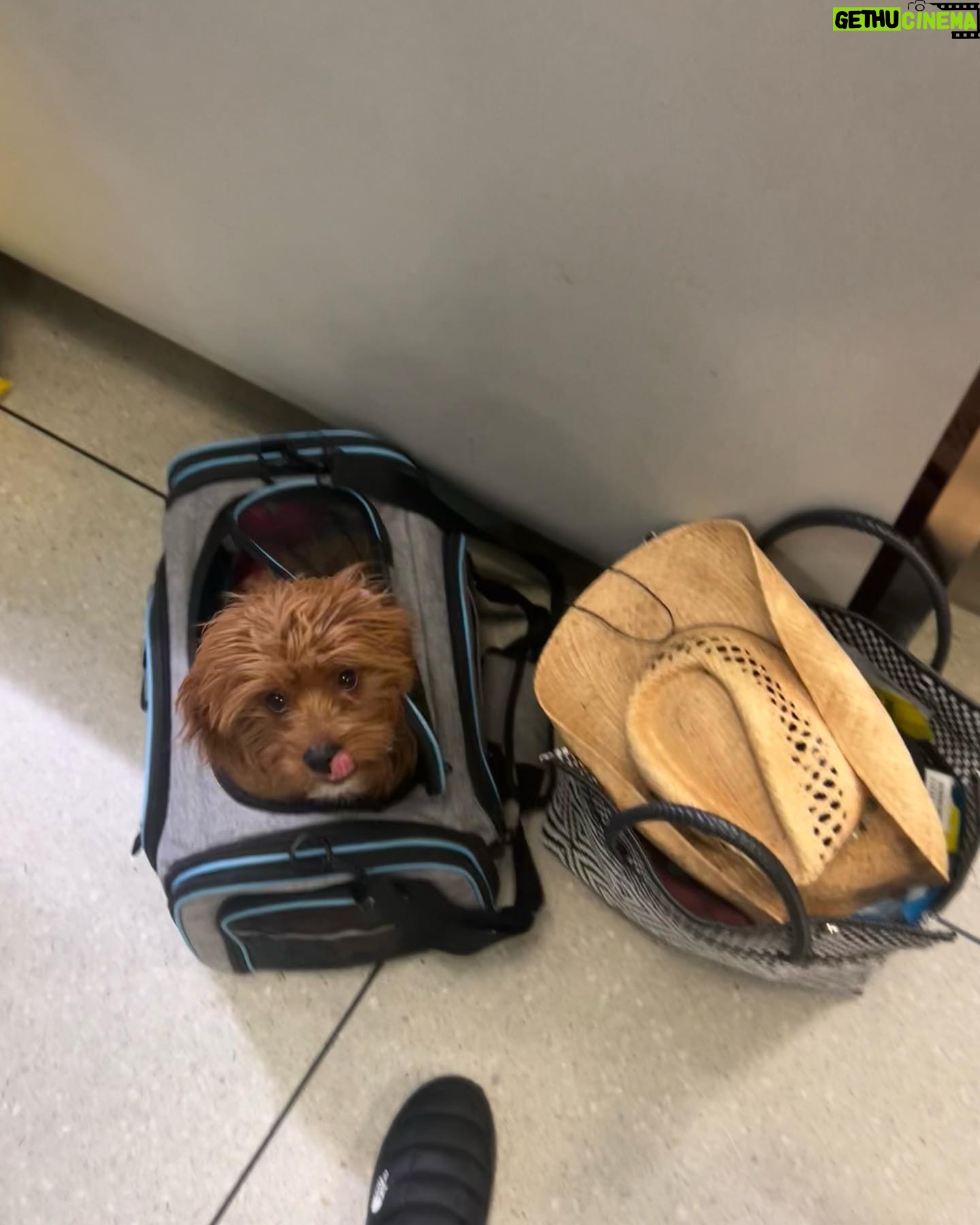 Hannah Kepple Instagram – heads Carolina tails California | Gethu Cinema