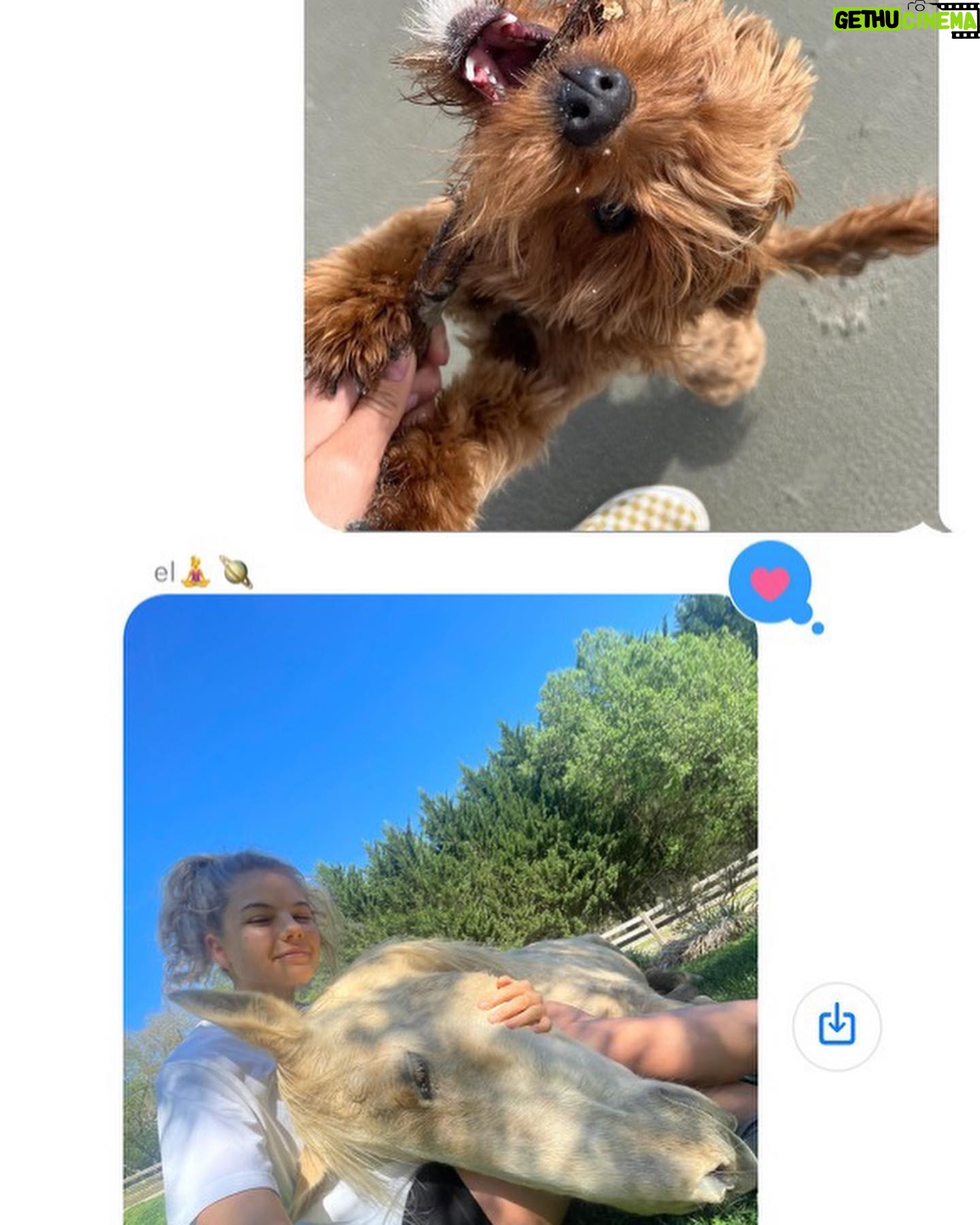 Hannah Kepple Instagram – heads Carolina tails California | Gethu Cinema