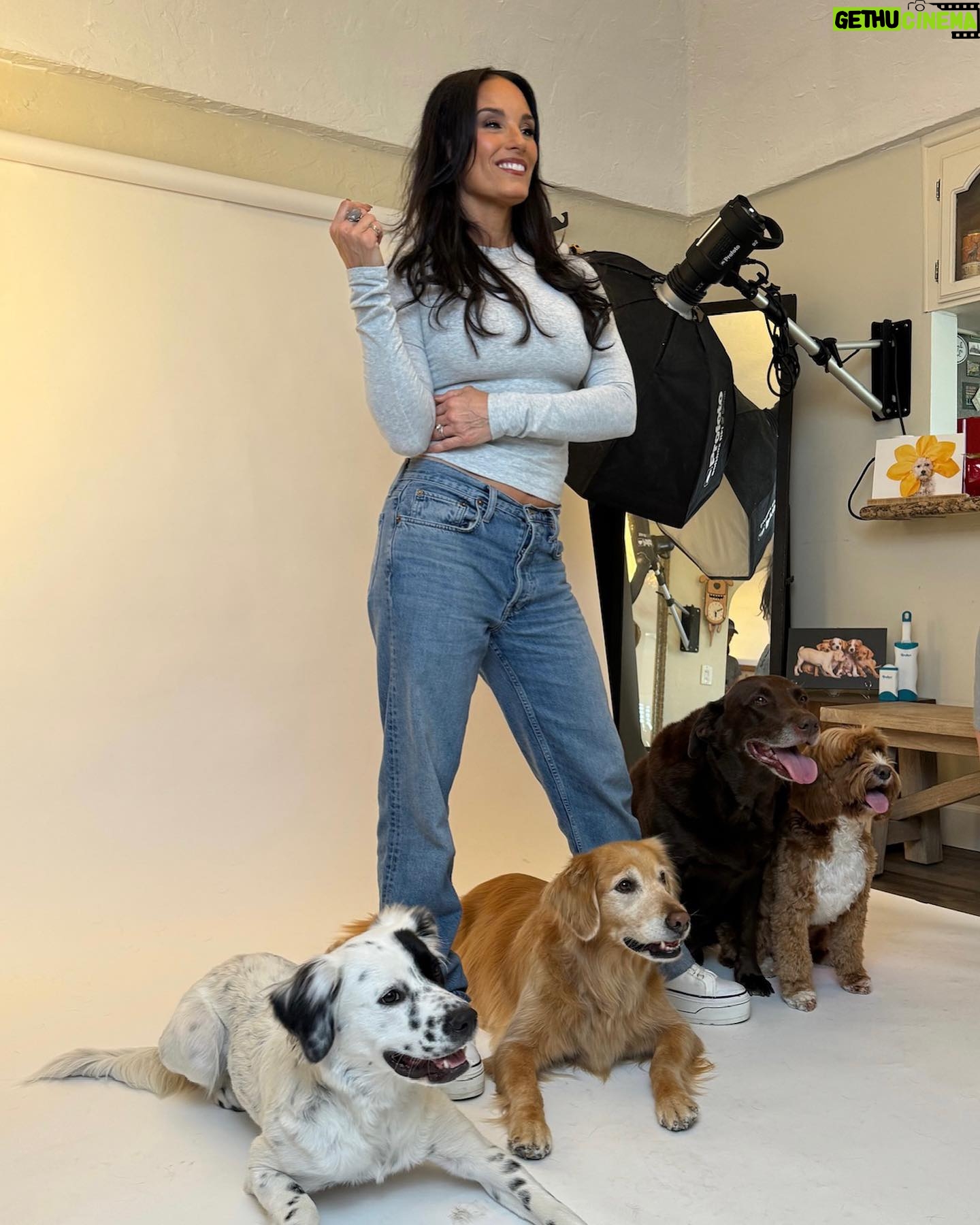 Heidi D’Amelio Instagram – A photoshoot with all 5 dogs was a chaotic ...