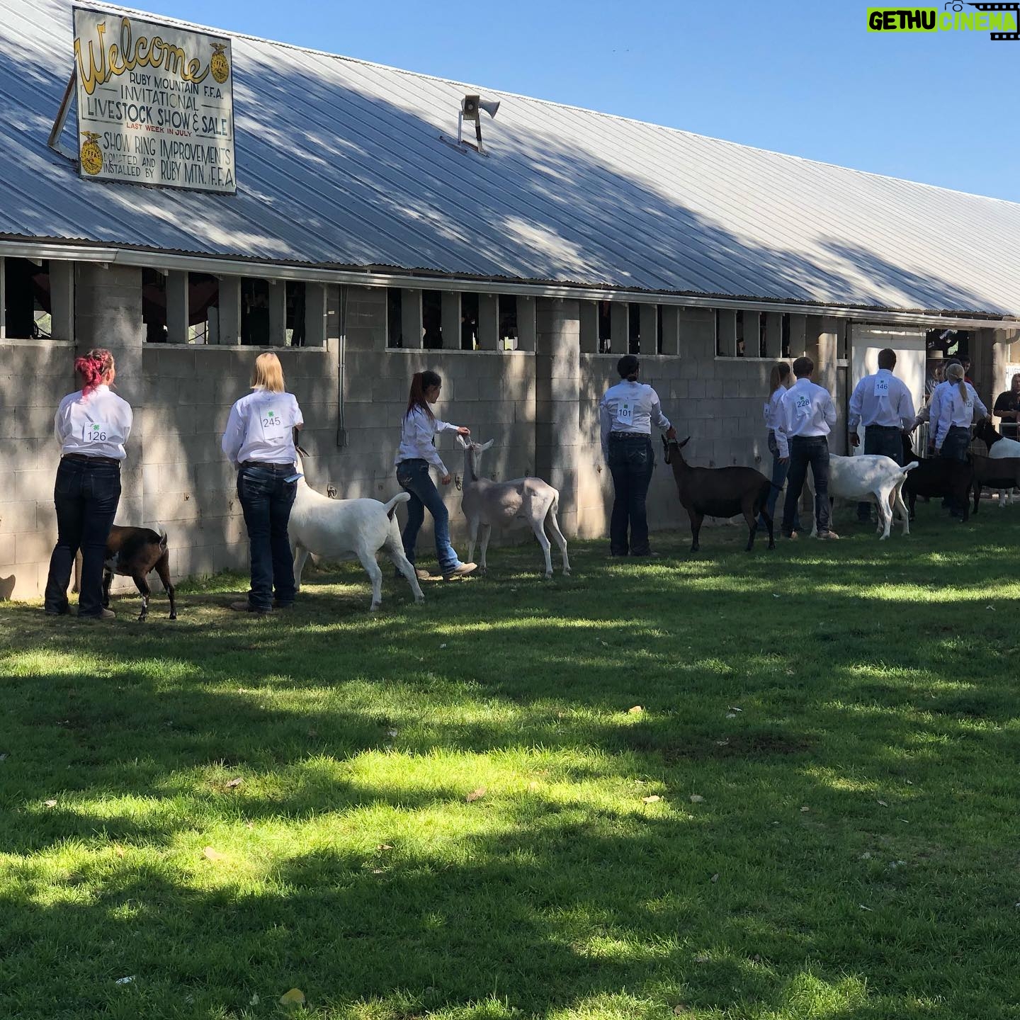 Helen Mirren Instagram – God Bless America and the Elko County fair ...