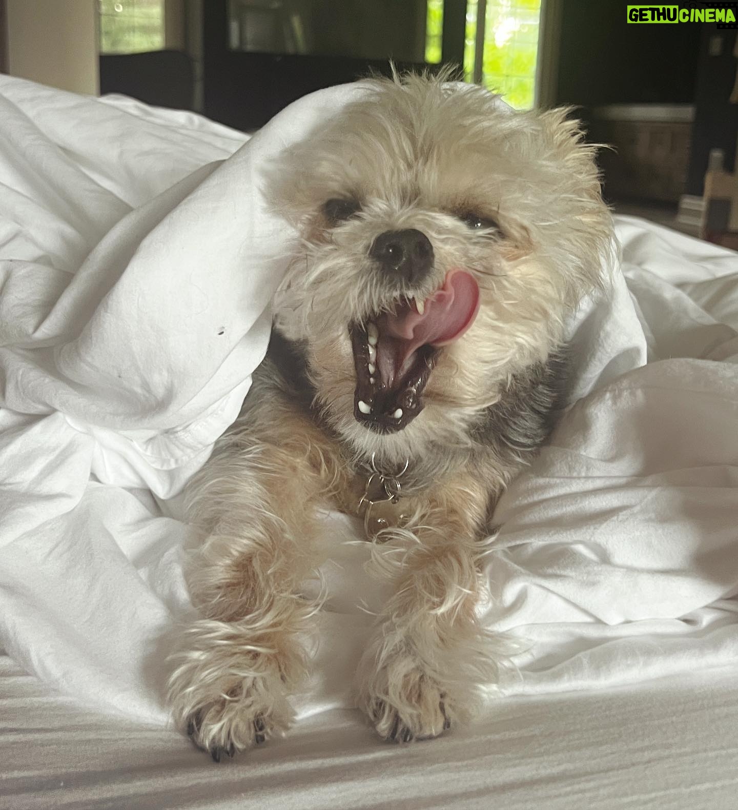 Italia Ricci Instagram – I could air fry and eat this face. | Gethu Cinema