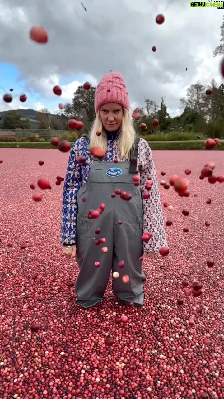 Javiera Acevedo Instagram – Realmente alucinante esta experiencia de ...