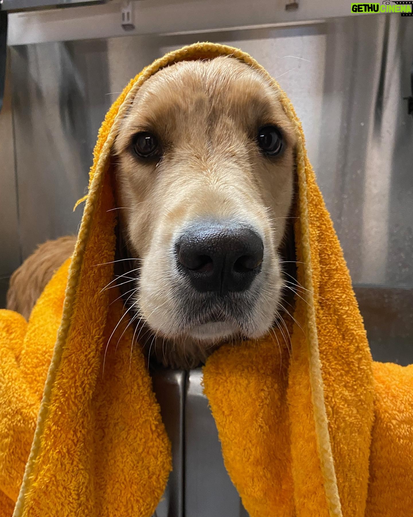 Jennifer Connelly Instagram – Bath time for Wallis. | Gethu Cinema